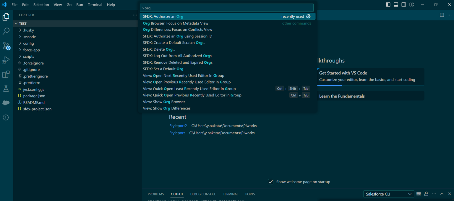 Salesforceのリリースをもっとスムーズに：VisualStudioCode + CLIによる実践的アプローチ - フロッグウェル株式会社